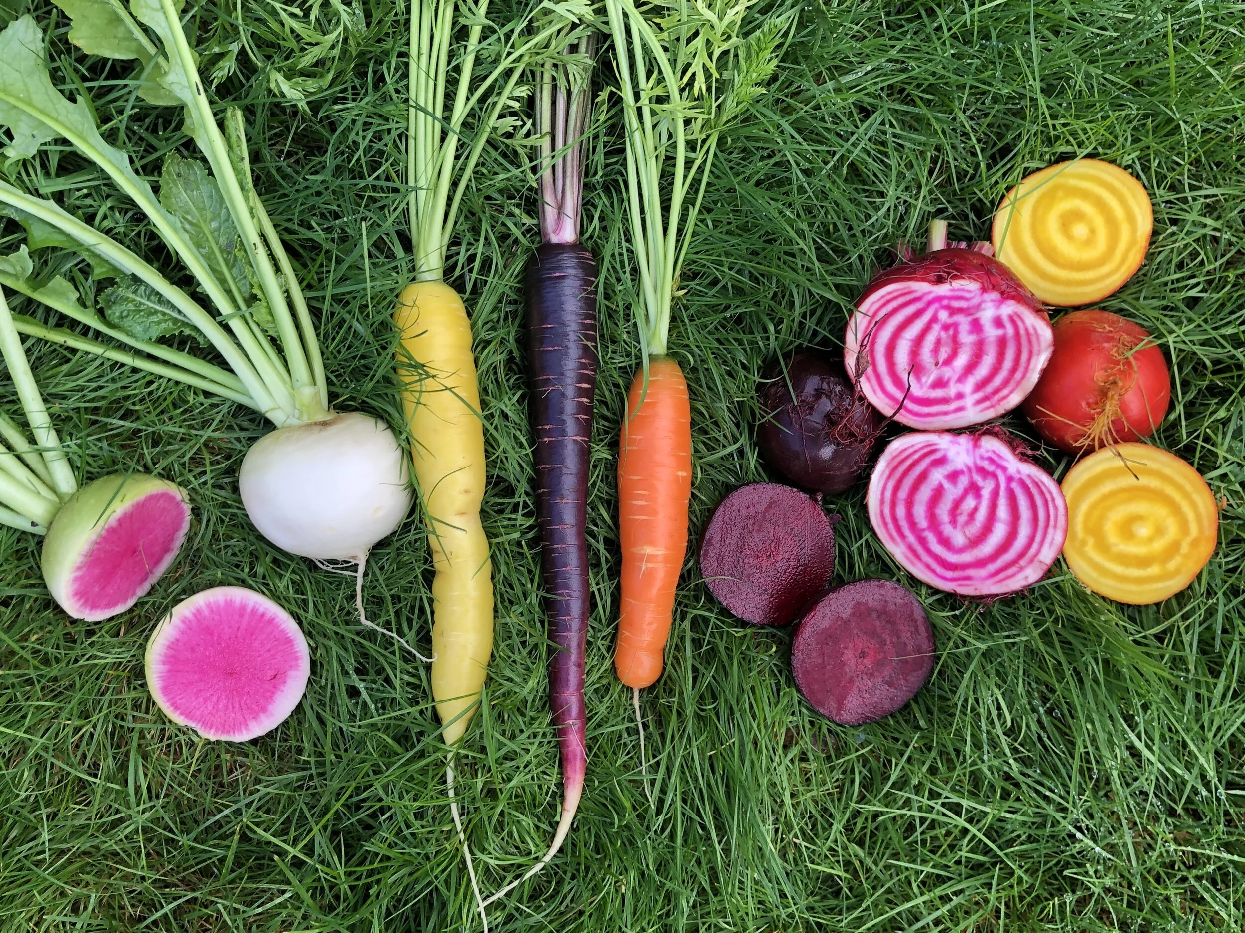 Radicle Roots FarmHome