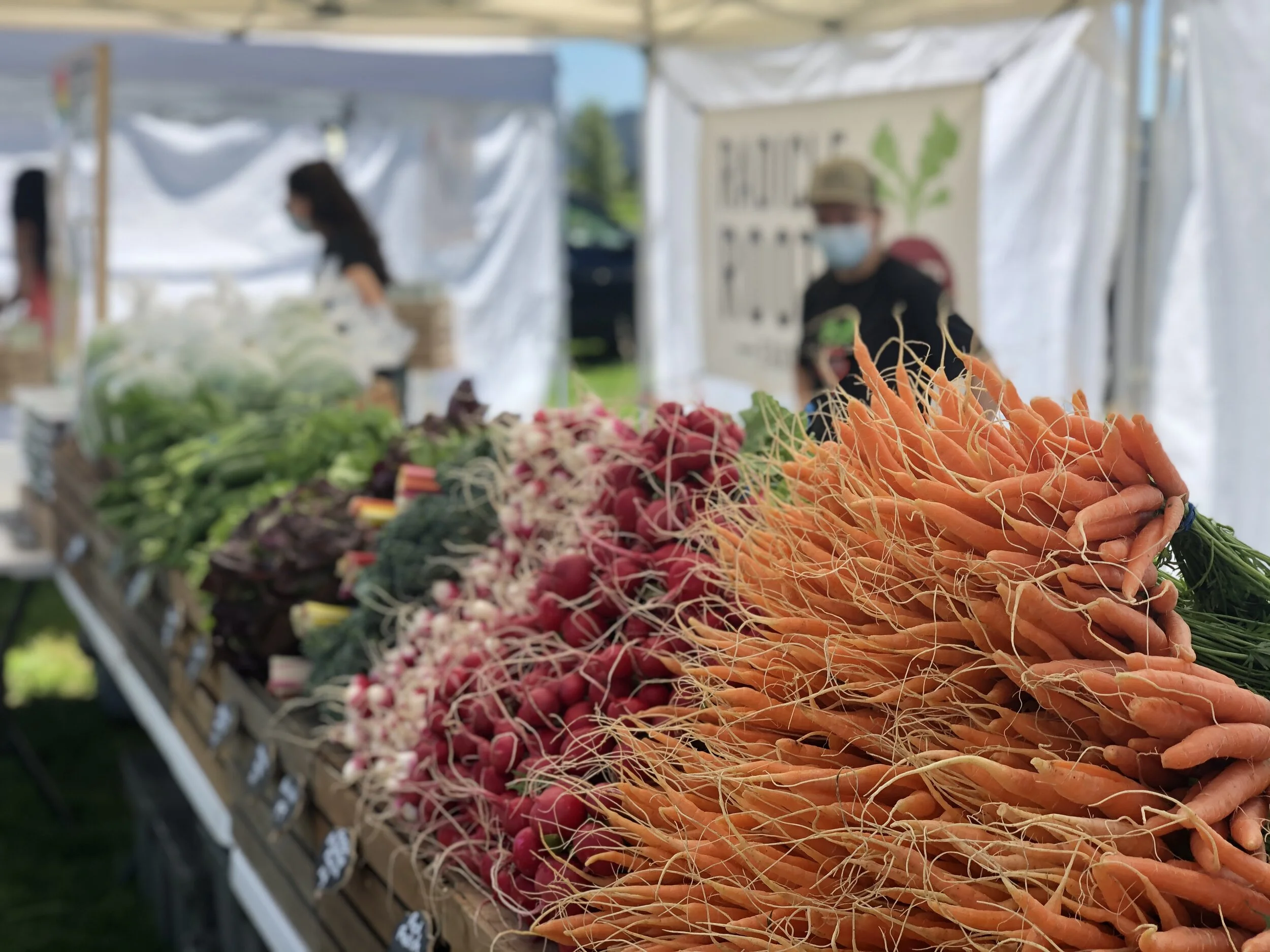 Radicle Roots FarmHome