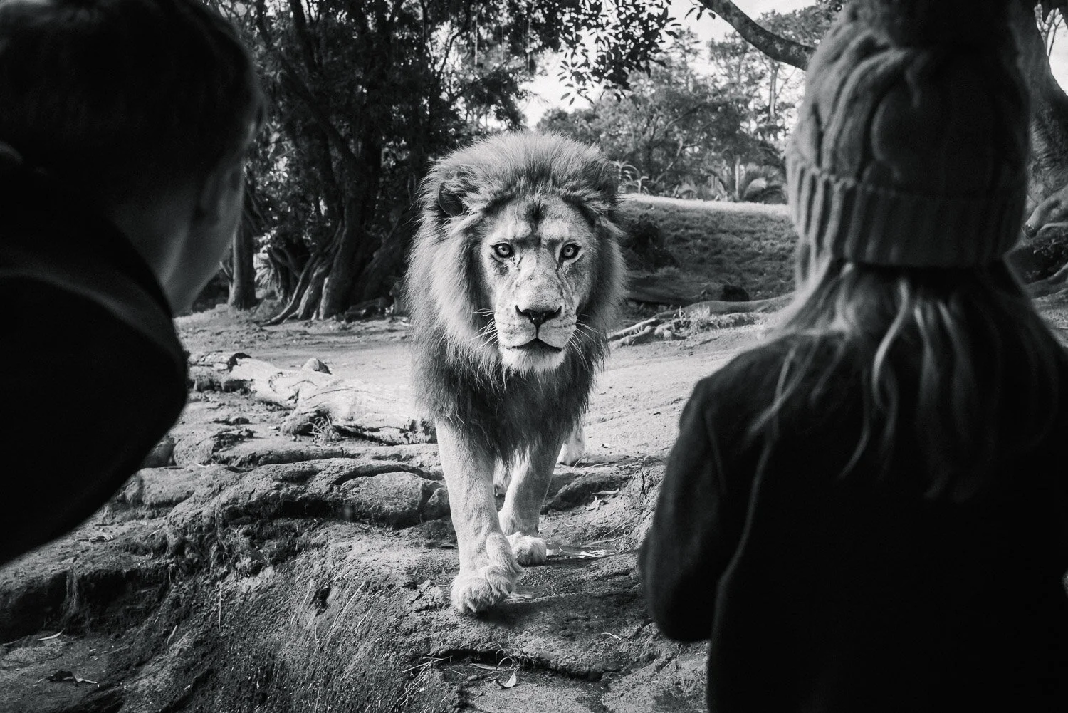 Storytelling Photography