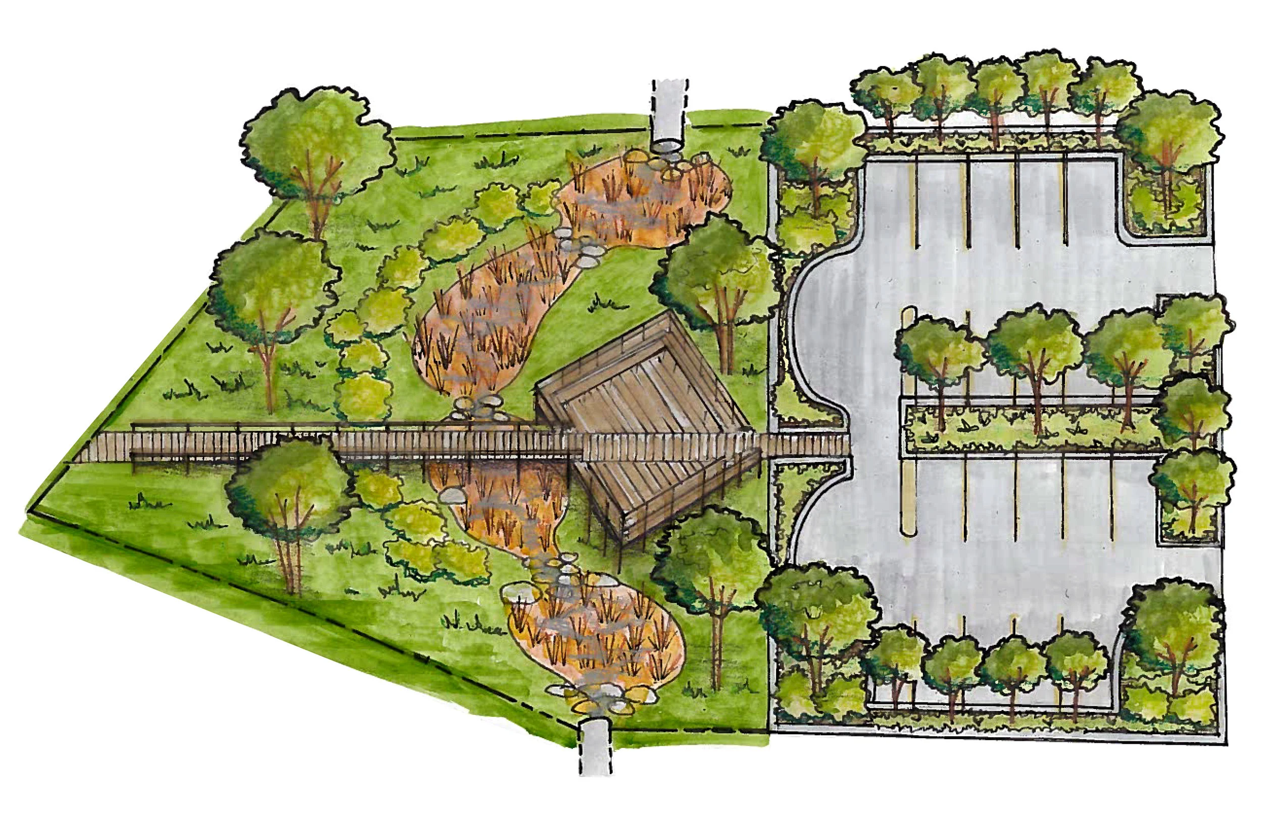 Climate Resiliency: Storm Water Intervention — Roots & Sky