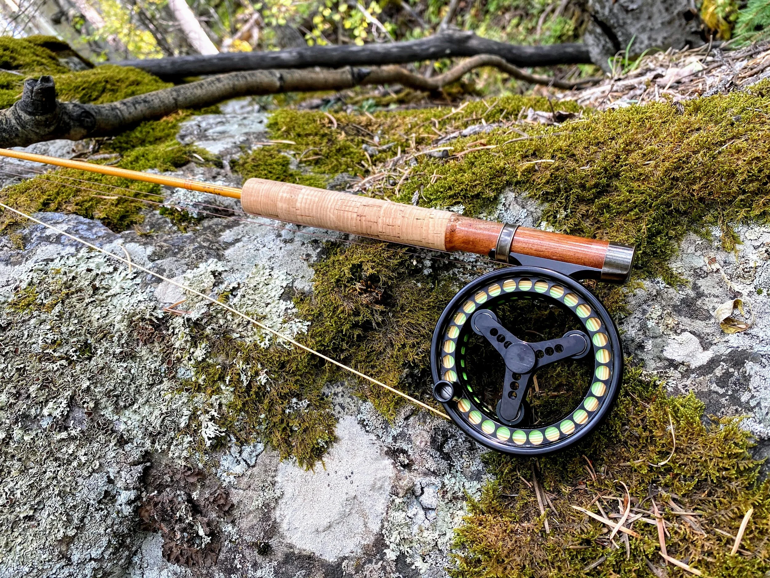 Colorado 2020, days 3 & 4 — C. Barclay Fly Rod Co.