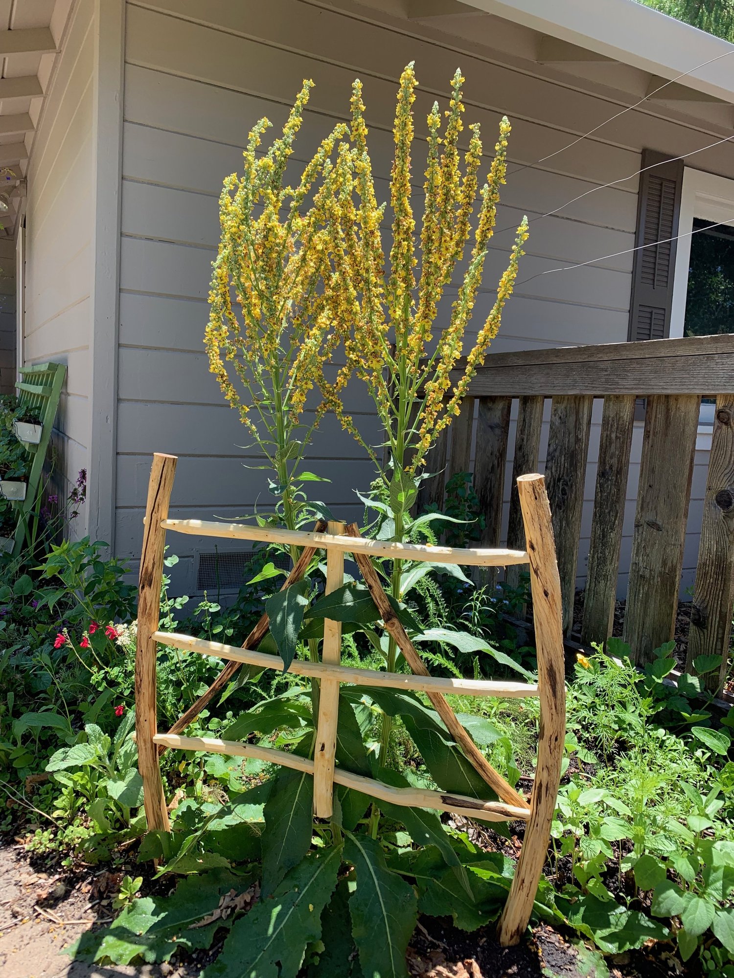 Garden Hurdles — Poppy Corners Farm