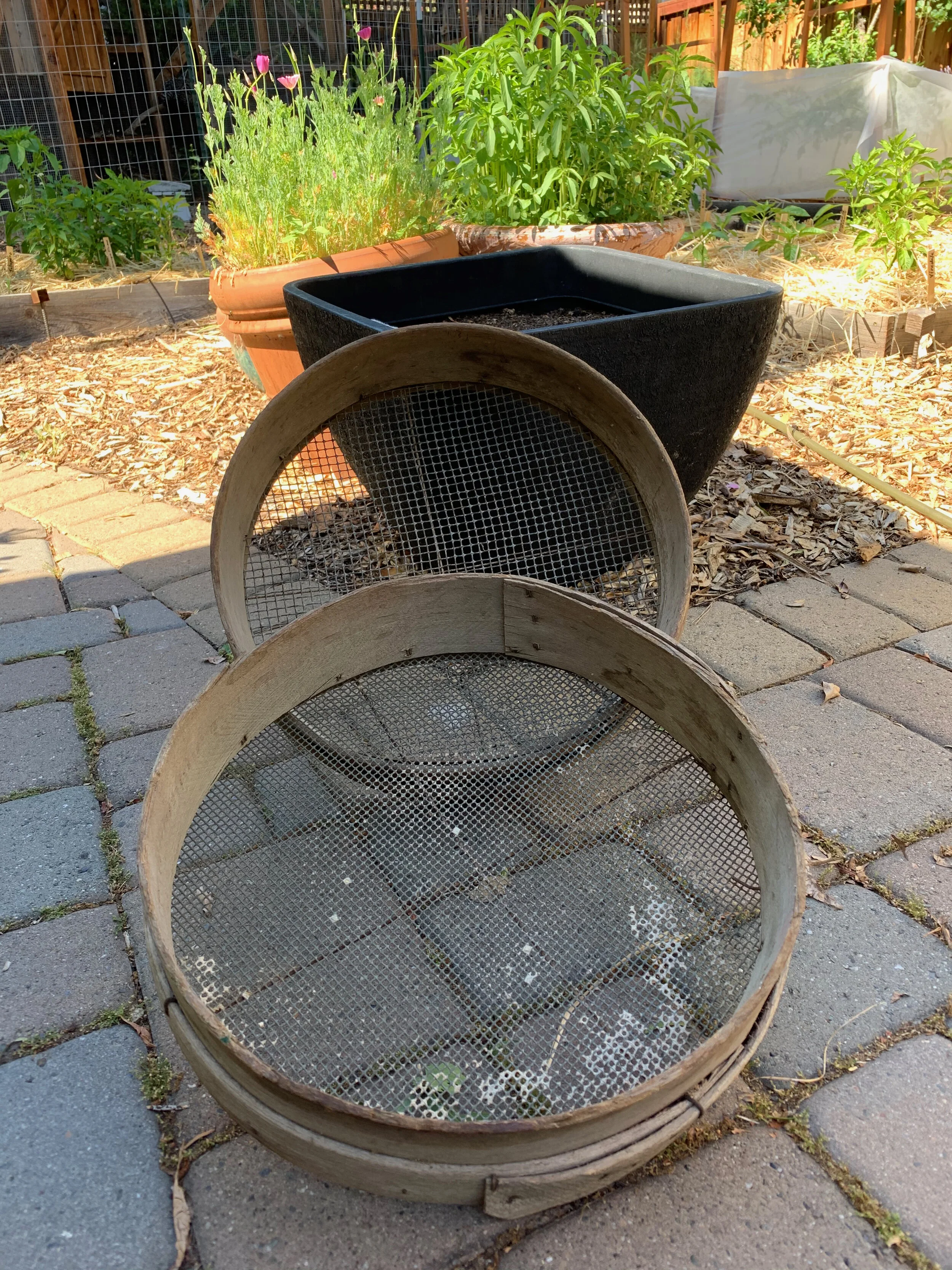 Sieves and Riddles — Poppy Corners Urban Farm