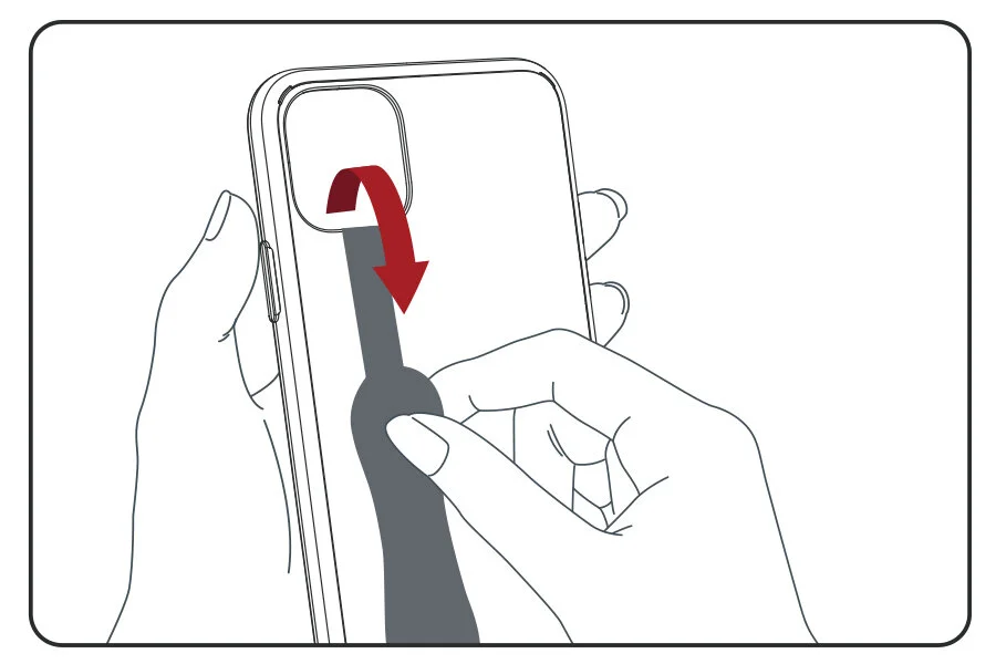 Sinjimoru Loop Stand — Sinjimoru