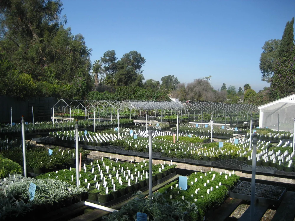 Pearson's Gardens & Herb Farm