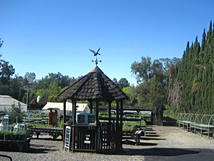 OUR STORY — Pearson's Gardens & Herb Farm