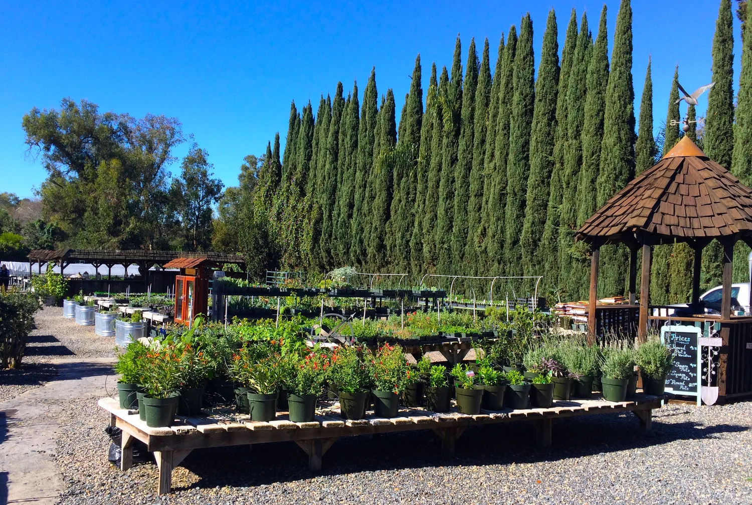 OUR STORY — Pearson's Gardens & Herb Farm