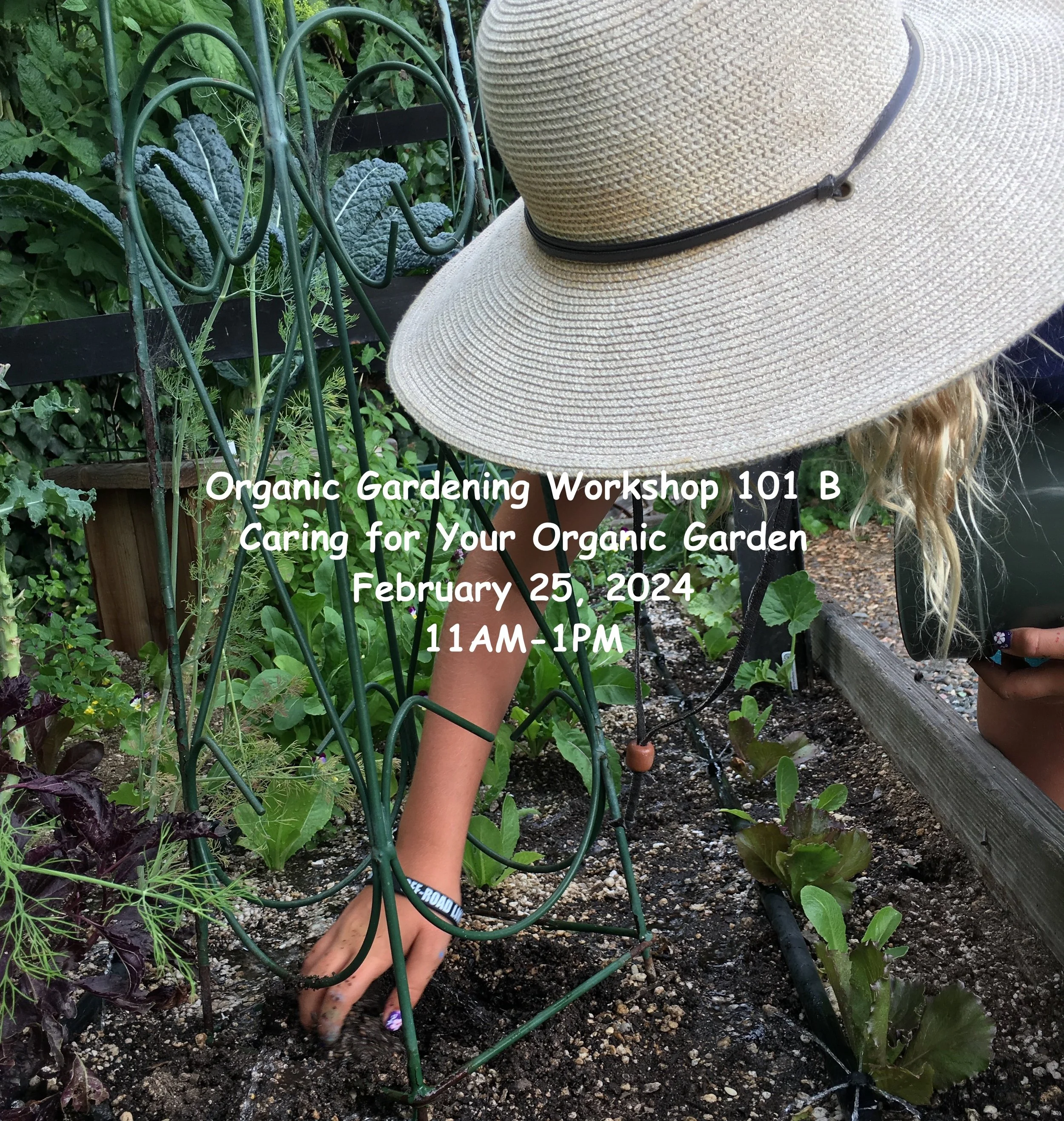 Shop & Registration — Pearson's Gardens & Herb Farm