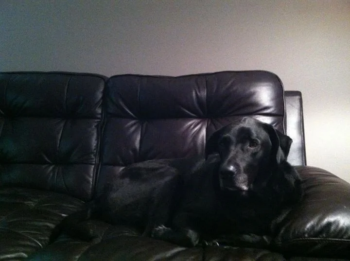 Before Duke Died, He Lived. — robyn arouty studios