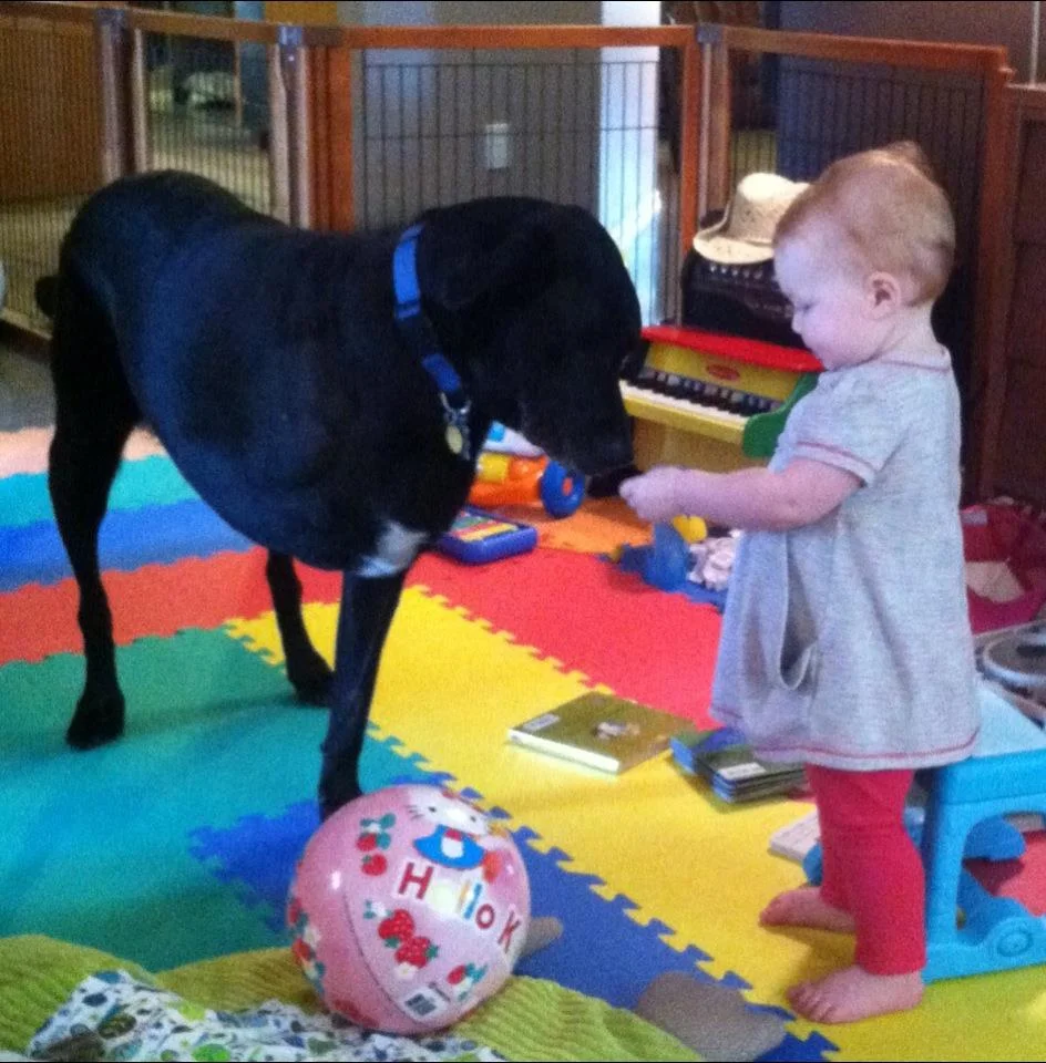 Before Duke Died, He Lived. — robyn arouty studios