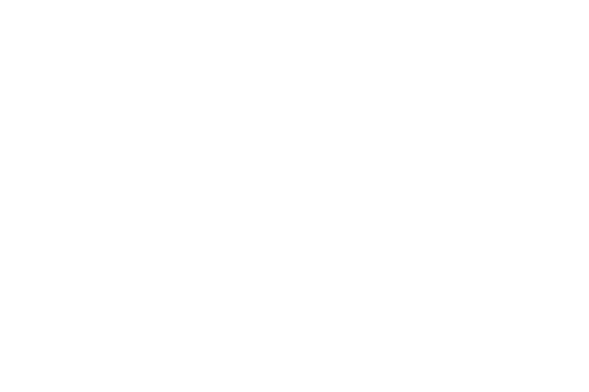 JWI's 2024 Voter Guide — JWI