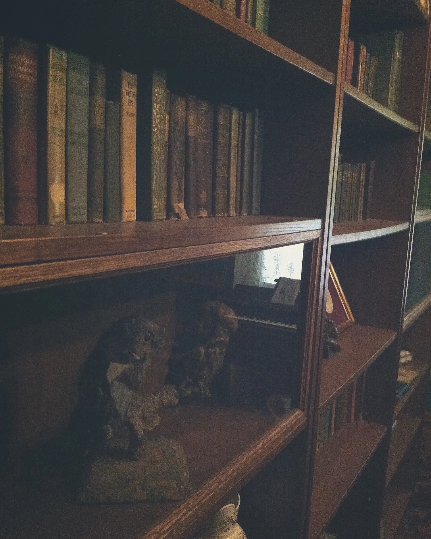 Hemingway's Humble Abode — Reagan Fleming