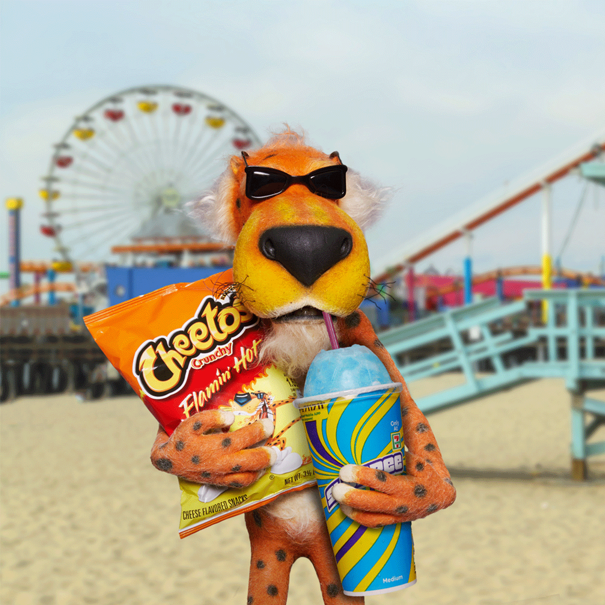 Miranda Lee | Art Director & Designer