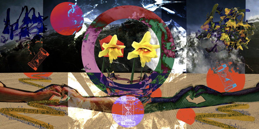 Photo-Collage: Grain Projects (2024)