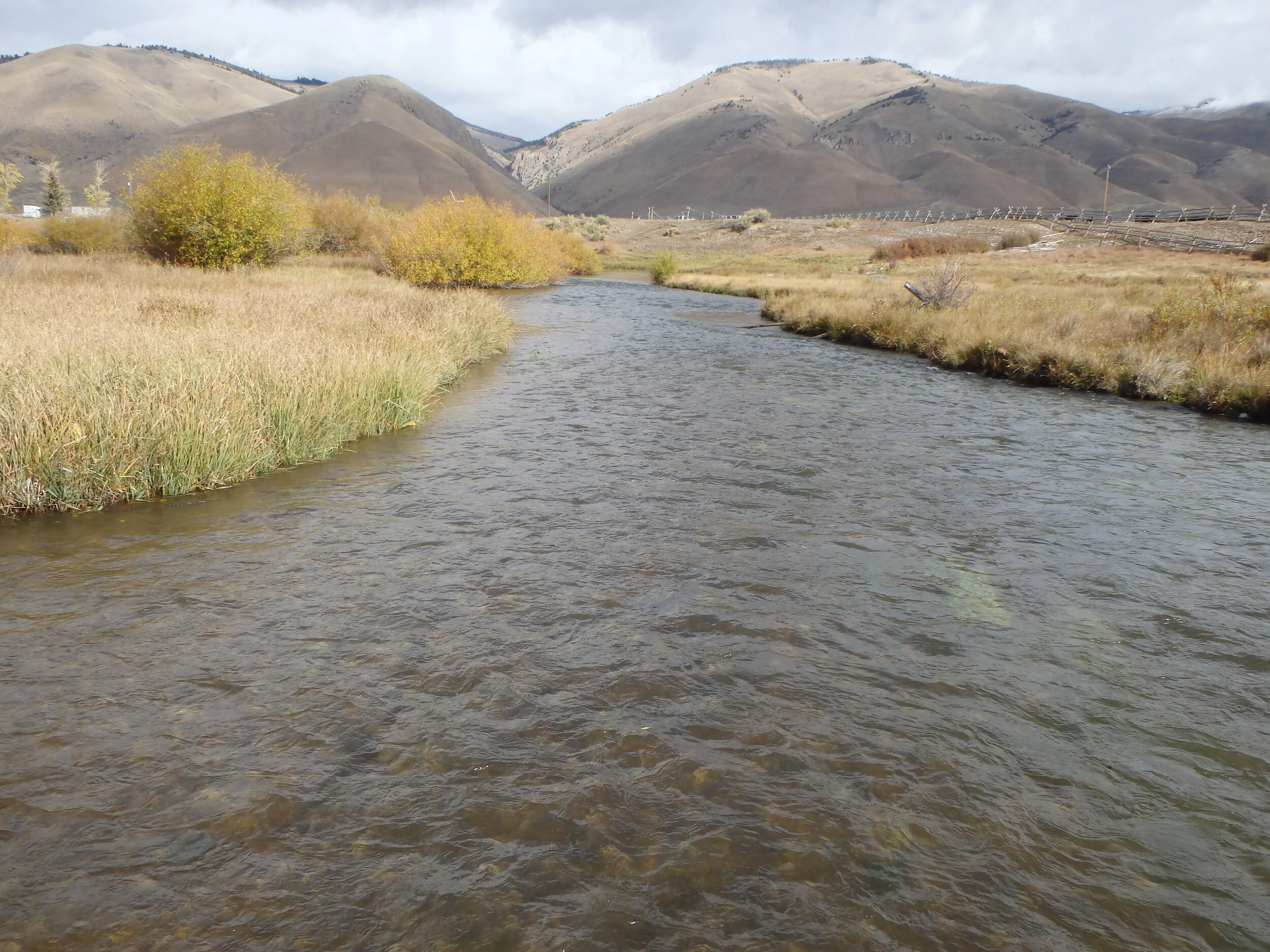Lemhi River Salmon Habitat Restoration — Intermountain Aquatics