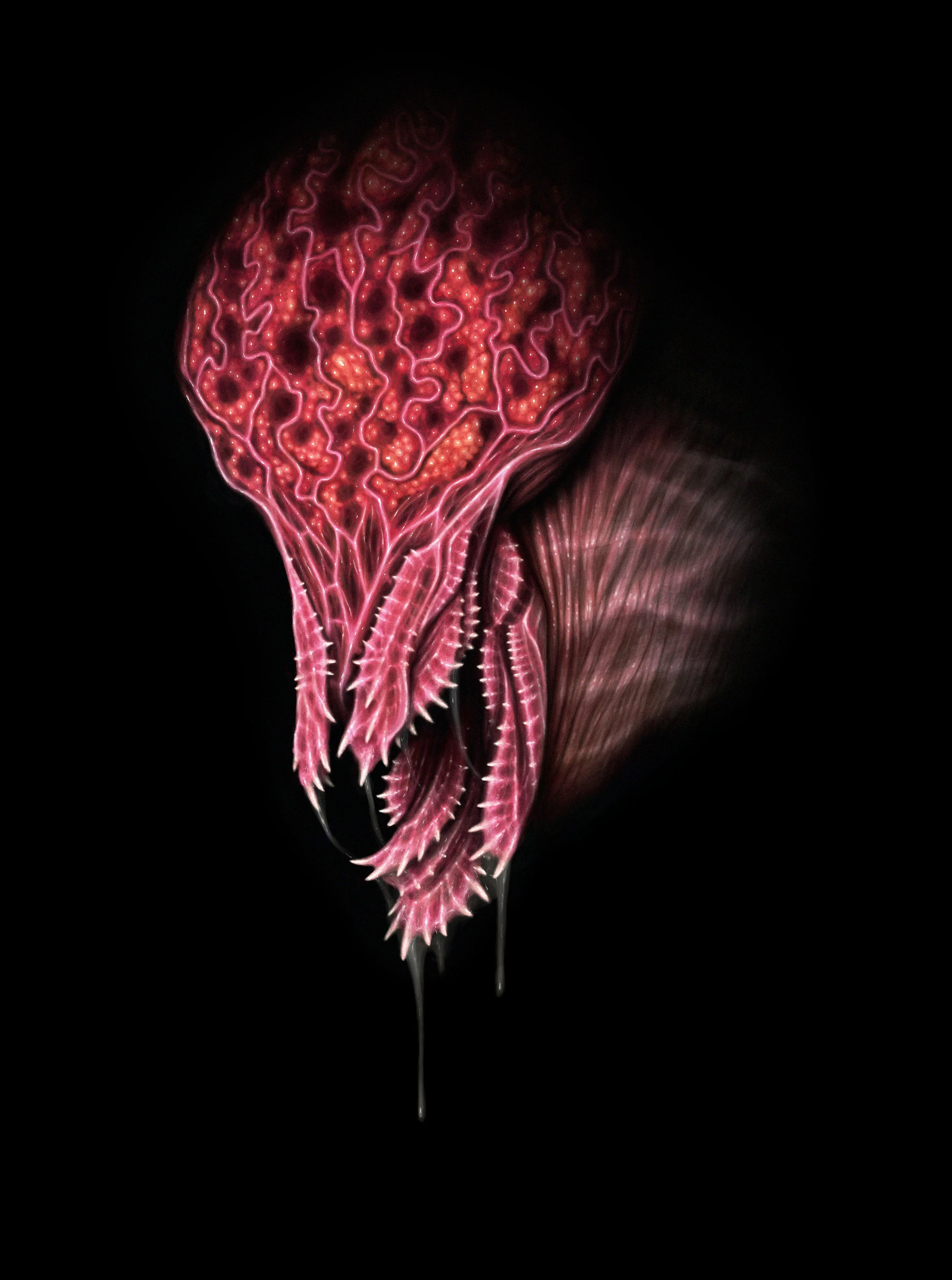 Split Head — Hannah Comstock