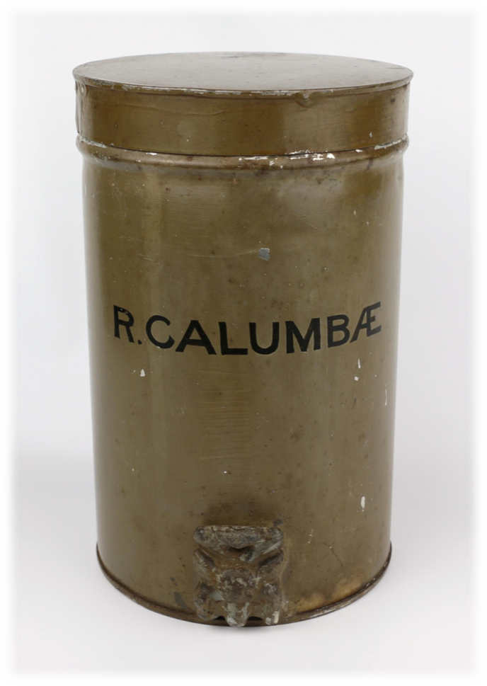 Radix Columbae Root Of Menispermaceae The Tizzano Museum radix-columbae-root-of-menispermaceae-the-tizzano-museum