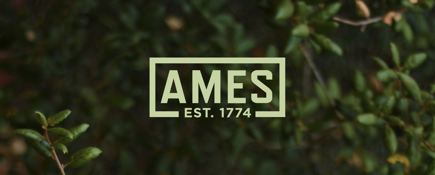 AMES — Enlisted Design