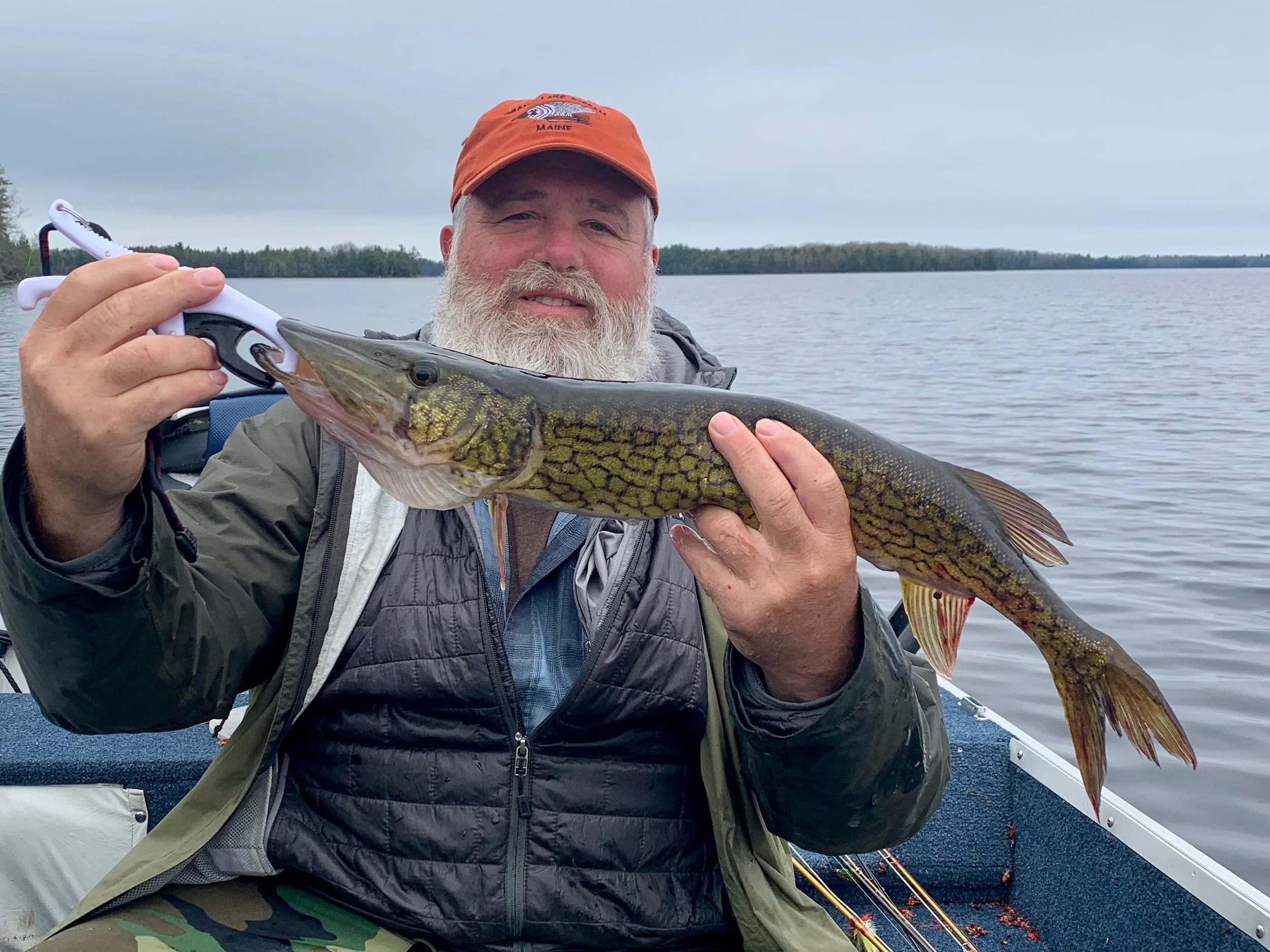 Pickerel On The Fly — Panfish On The Fly