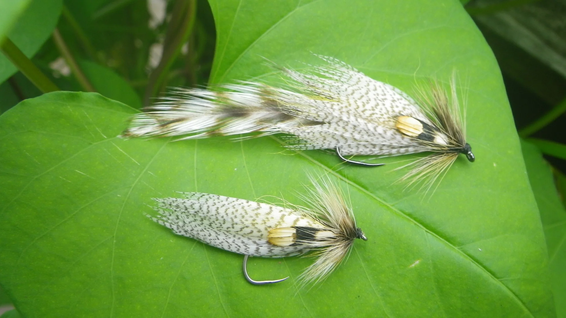 Fly Tying Friday - The Hornberg Streamer by Bill Ninke — Panfish On The Fly