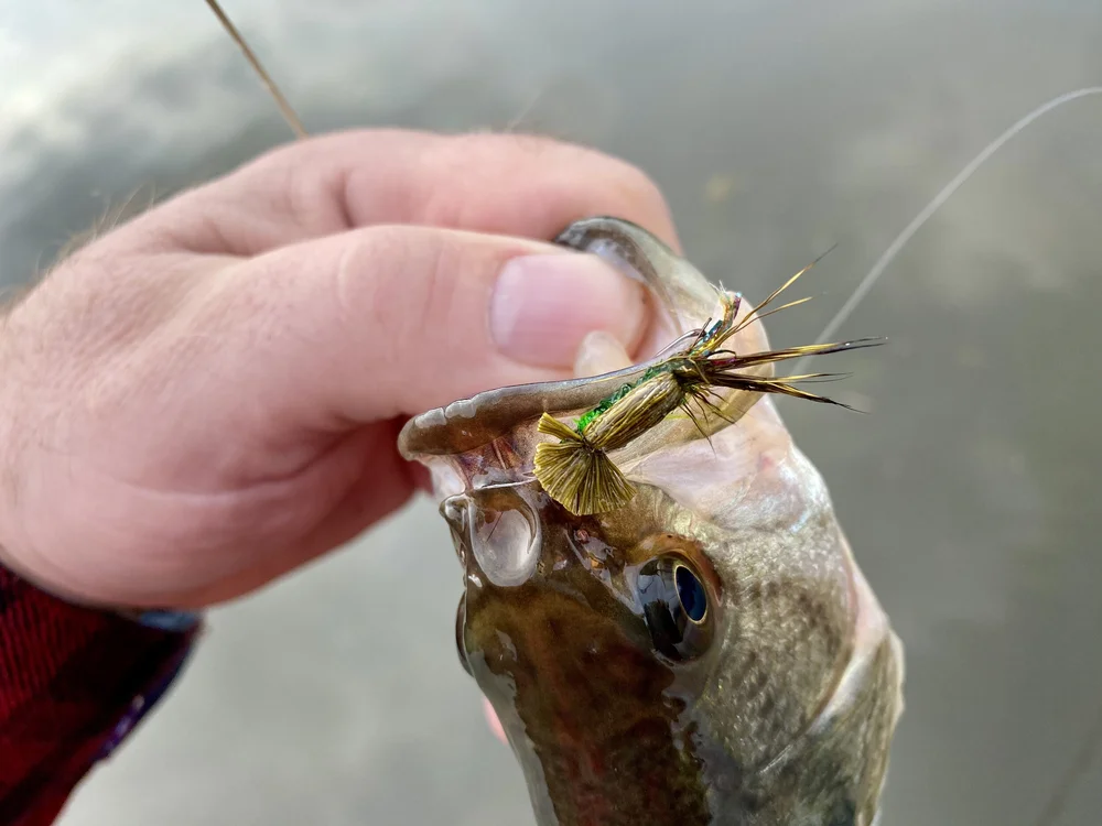 The Panfish Devil Bug — Panfish On The Fly