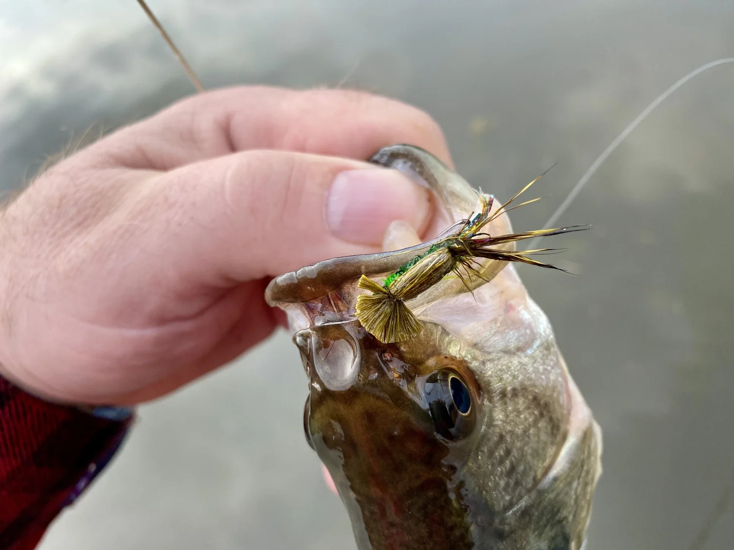 The Panfish Devil Bug — Panfish On The Fly