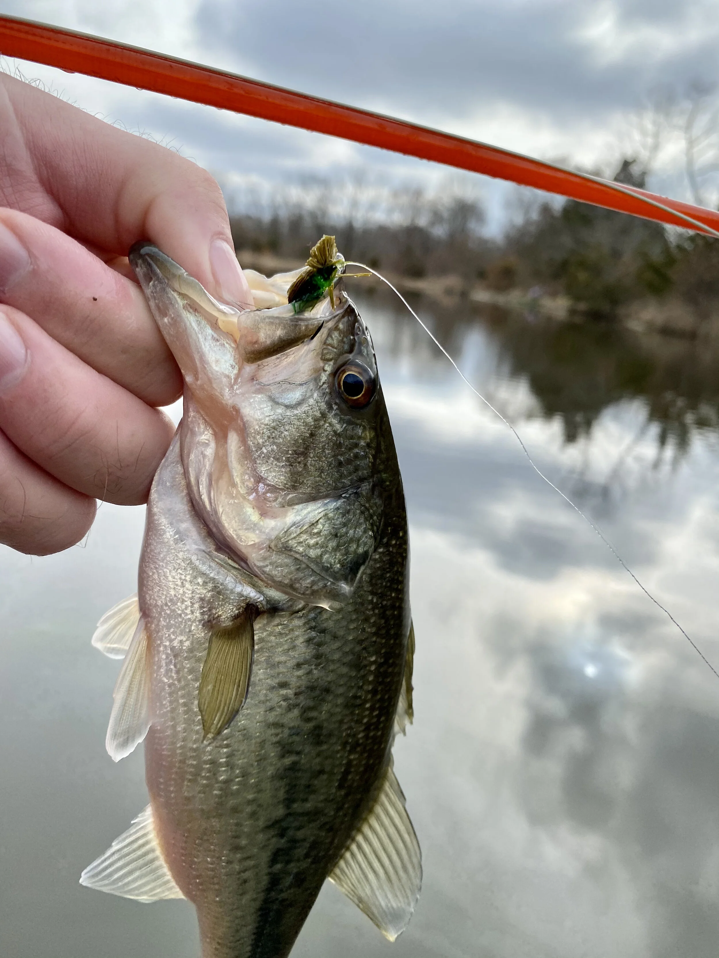 The Panfish Devil Bug — Panfish On The Fly