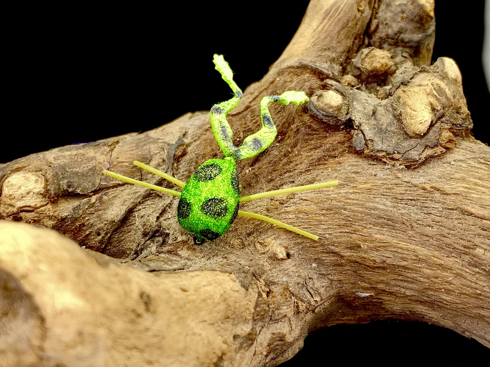 Fly Tying Friday: The Wee Frog — Panfish On The Fly