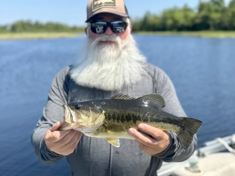 The Perfect Fly Rod for Panfish — Panfish On The Fly