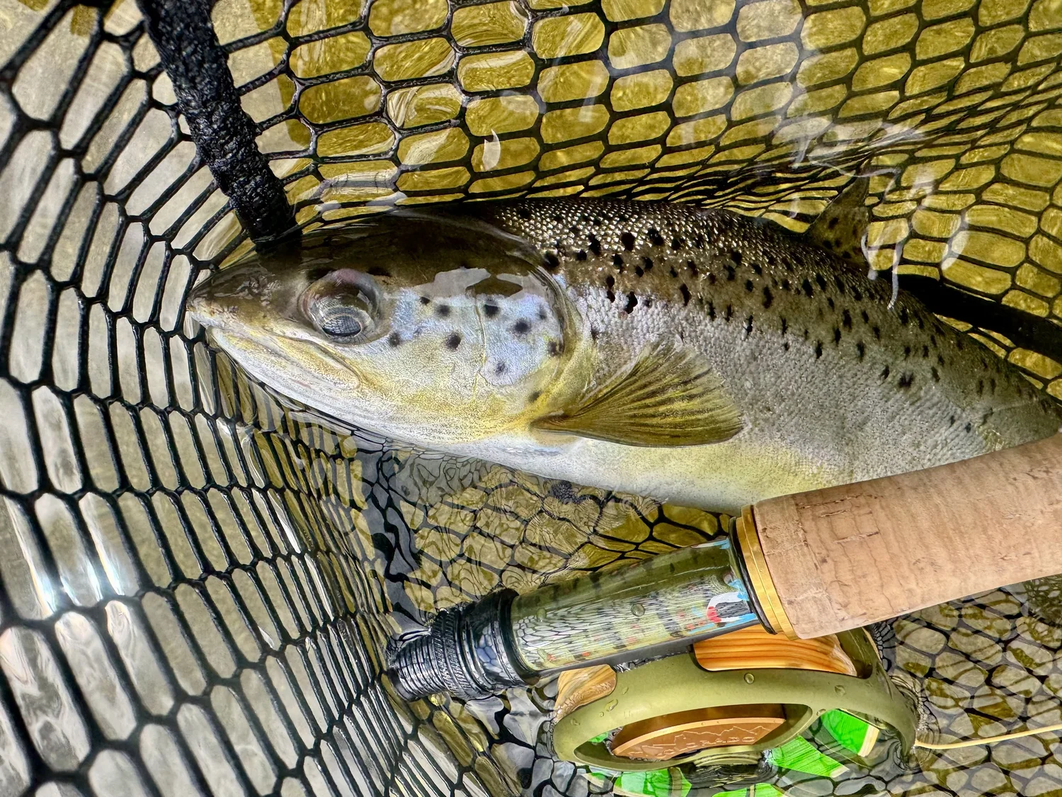 The Perfect Fly Rod for Panfish — Panfish On The Fly