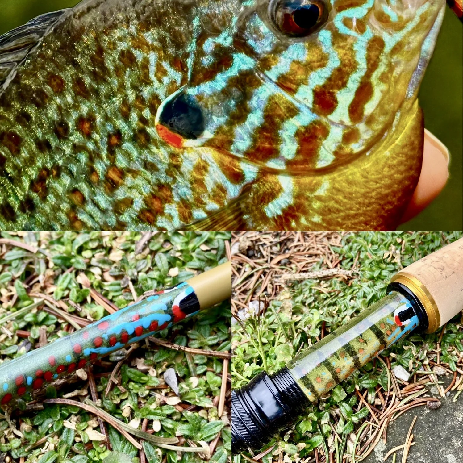The Perfect Fly Rod for Panfish — Panfish On The Fly