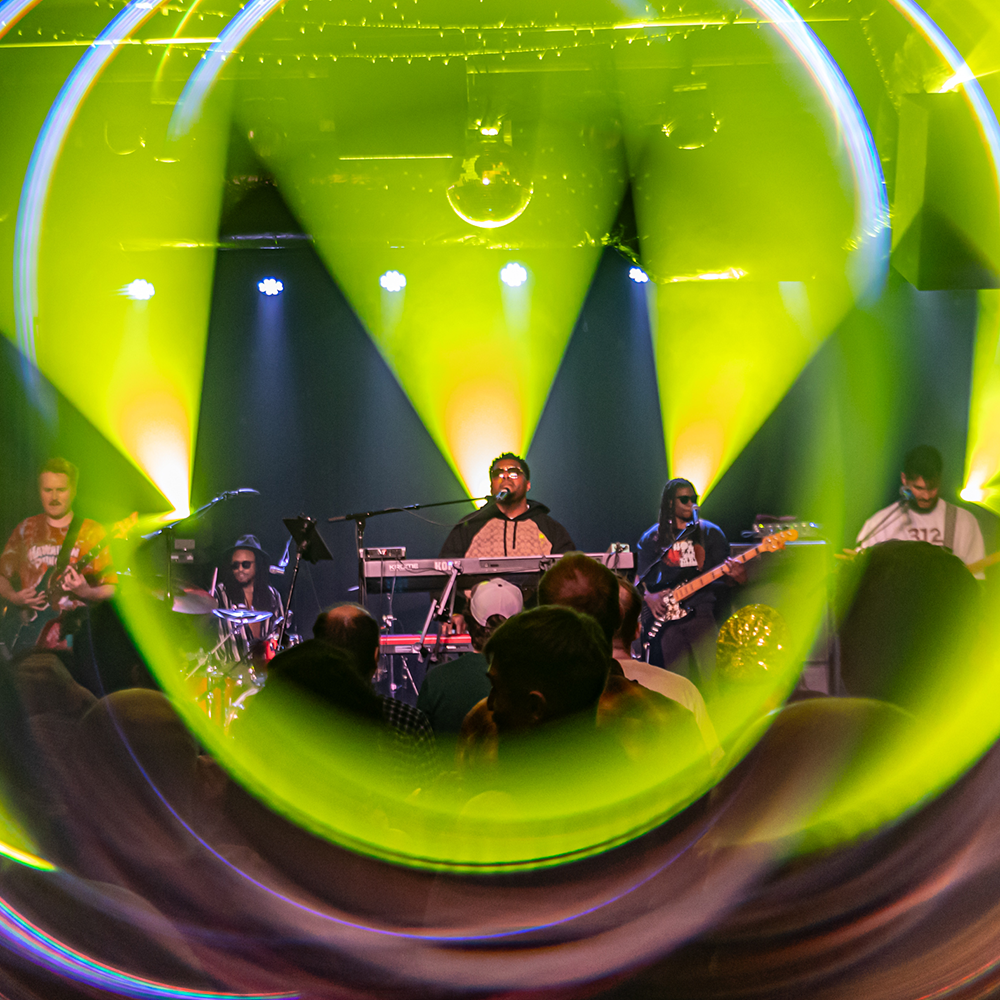 Blog — Driftless Music Gardens