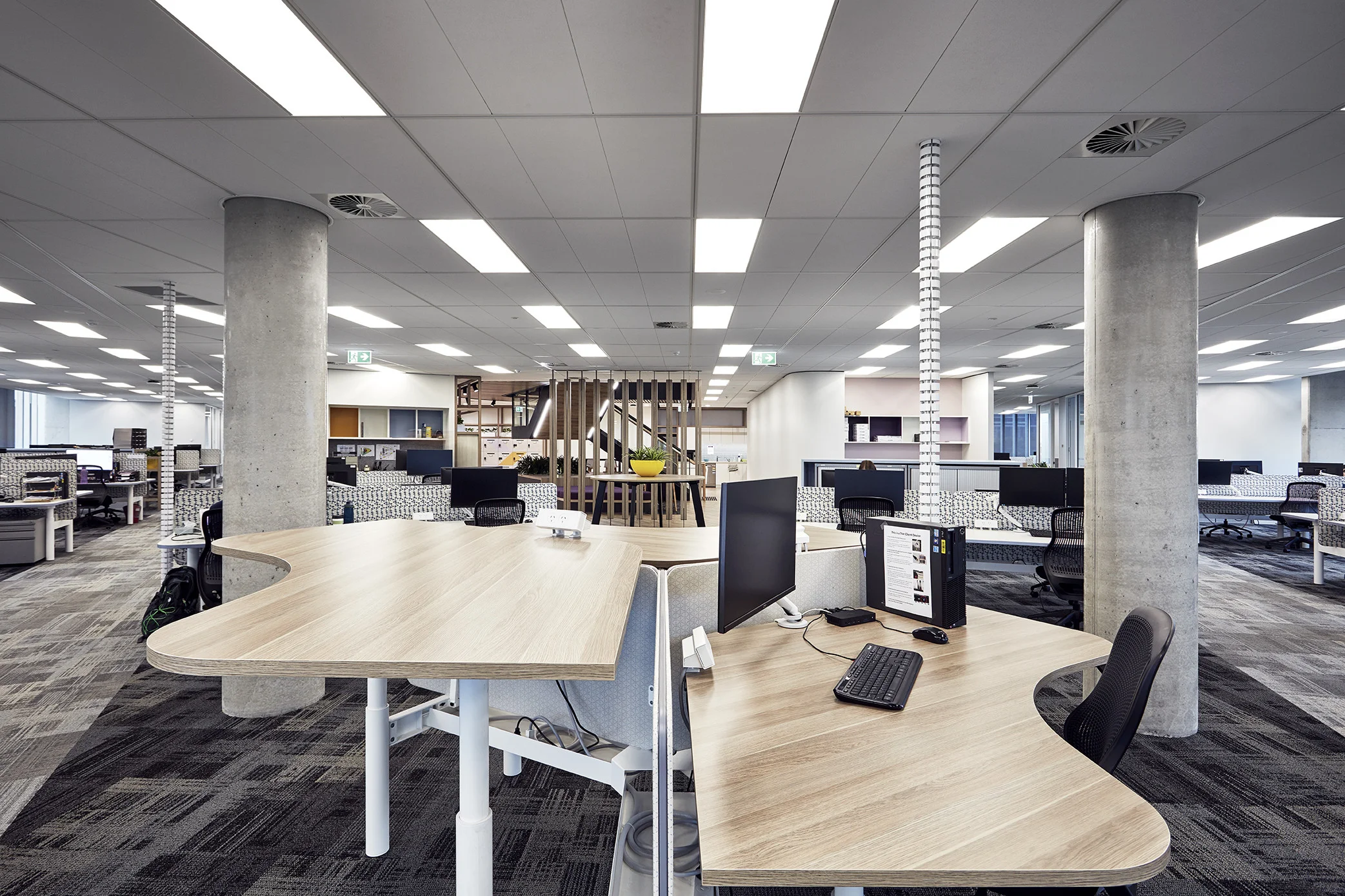 The George Institute — Evolved Engineering