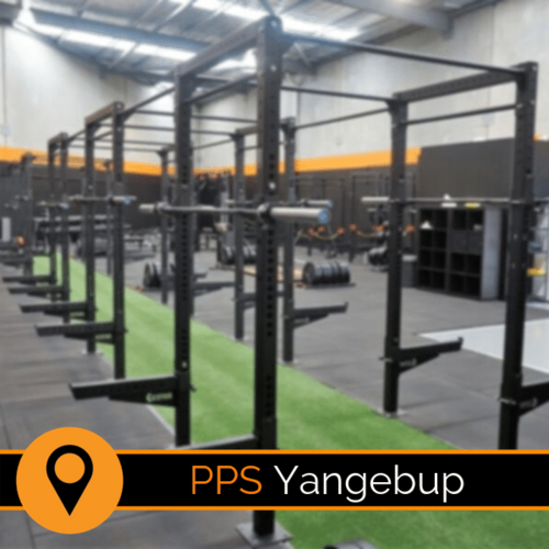 Physique Performance Specialists