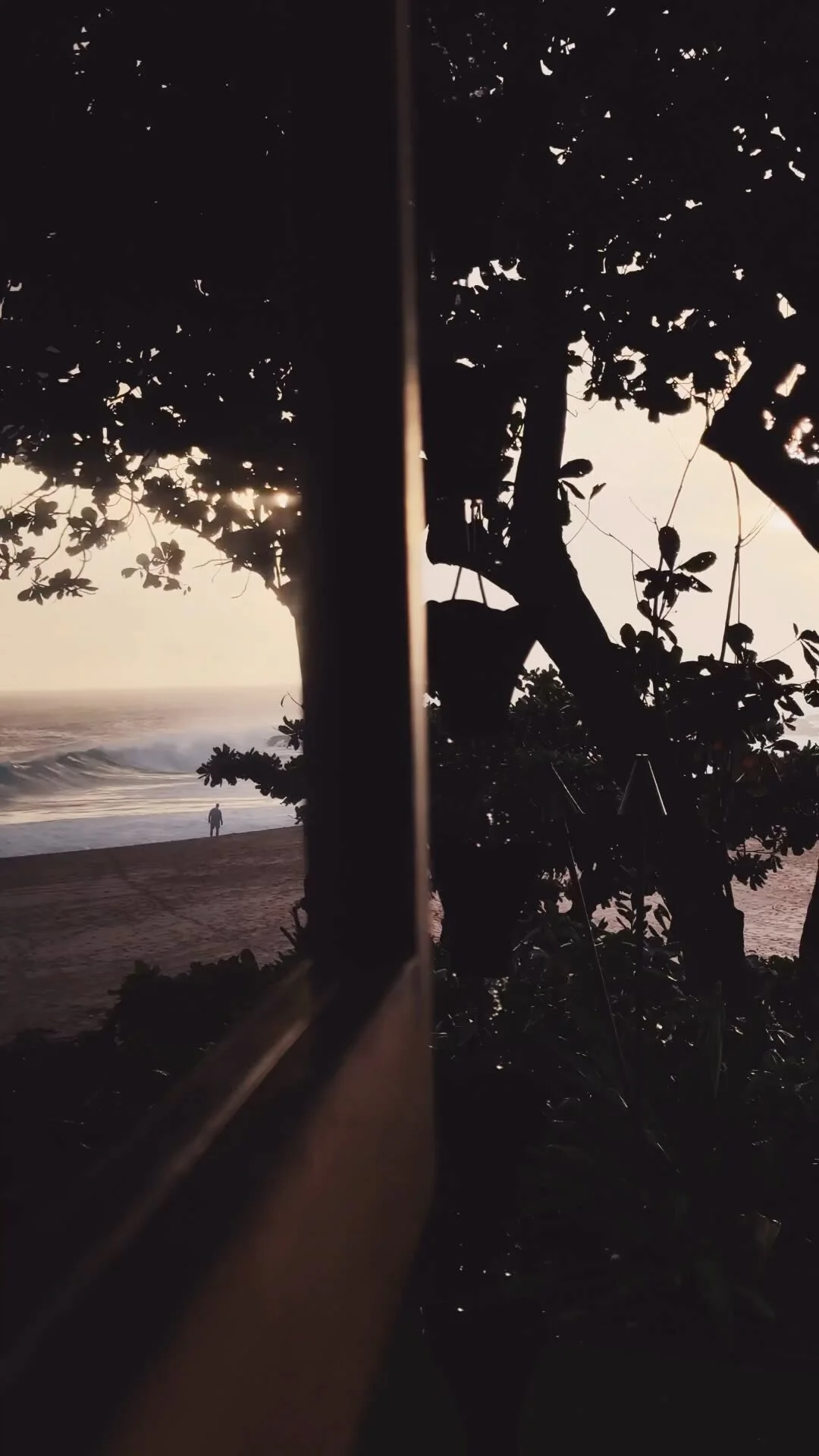 Nintendo Switch with the Cast of Kim Impossible — neal lett