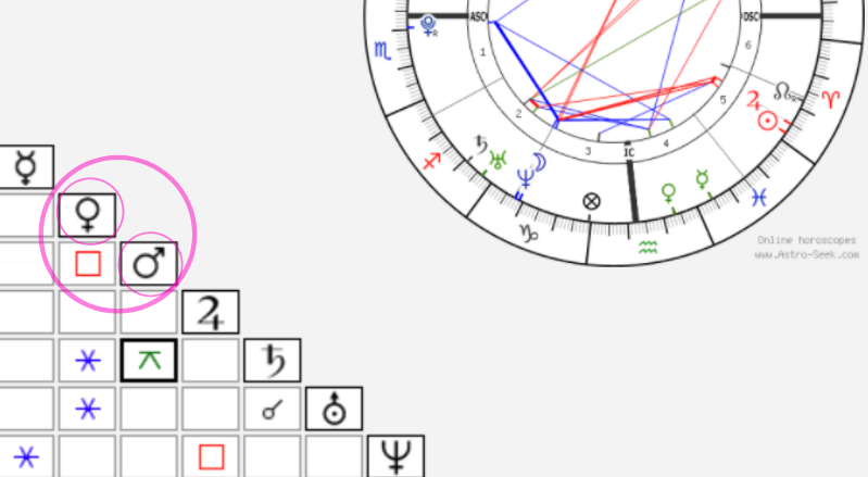 VENUS FOREVER! What is a Venus Return? HOW DO WE CAST THAT CHART??! 🤩💫 ...