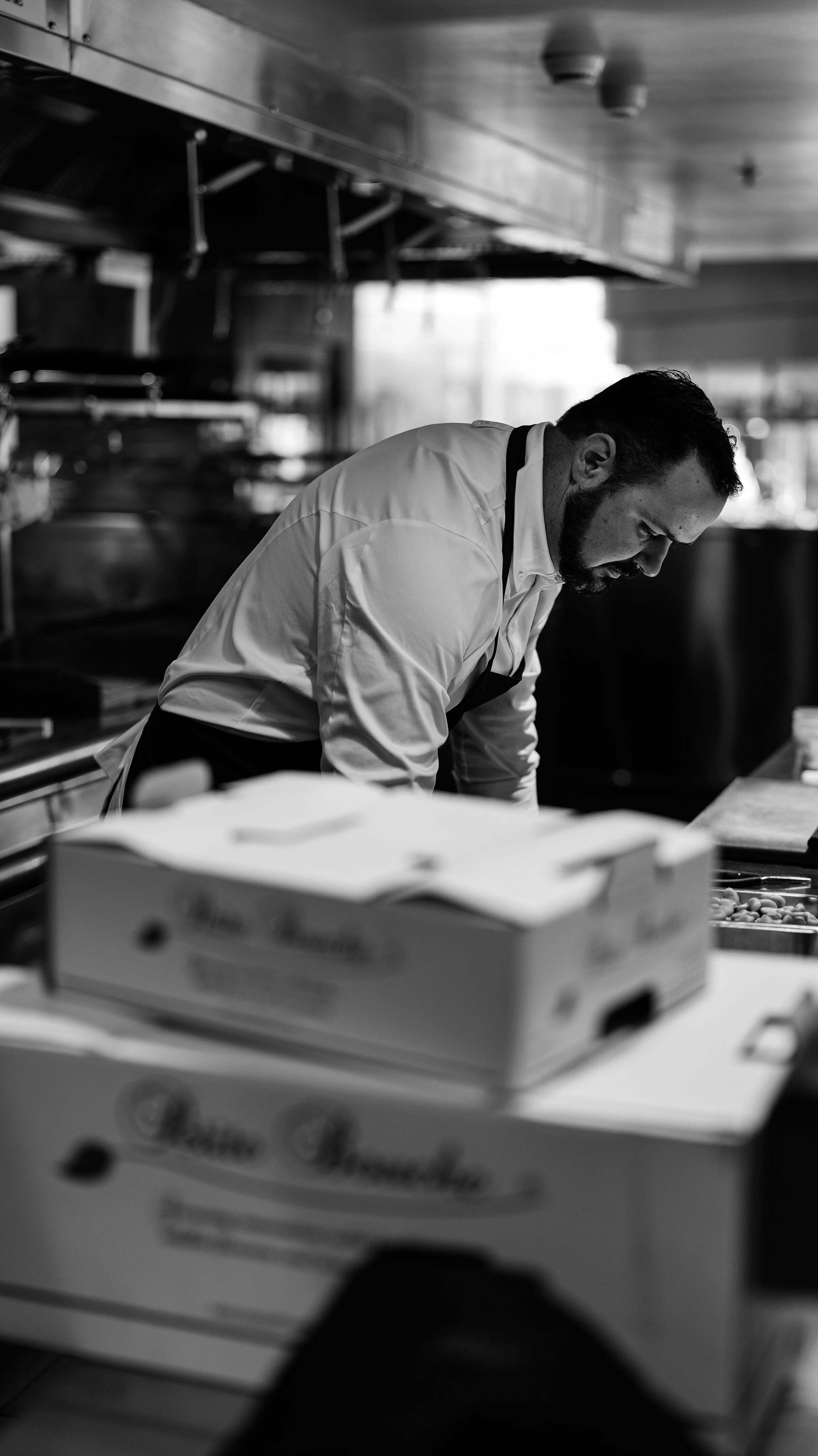 PETER ROBERTSON AT FLYING FISH — EXPORT FRESH