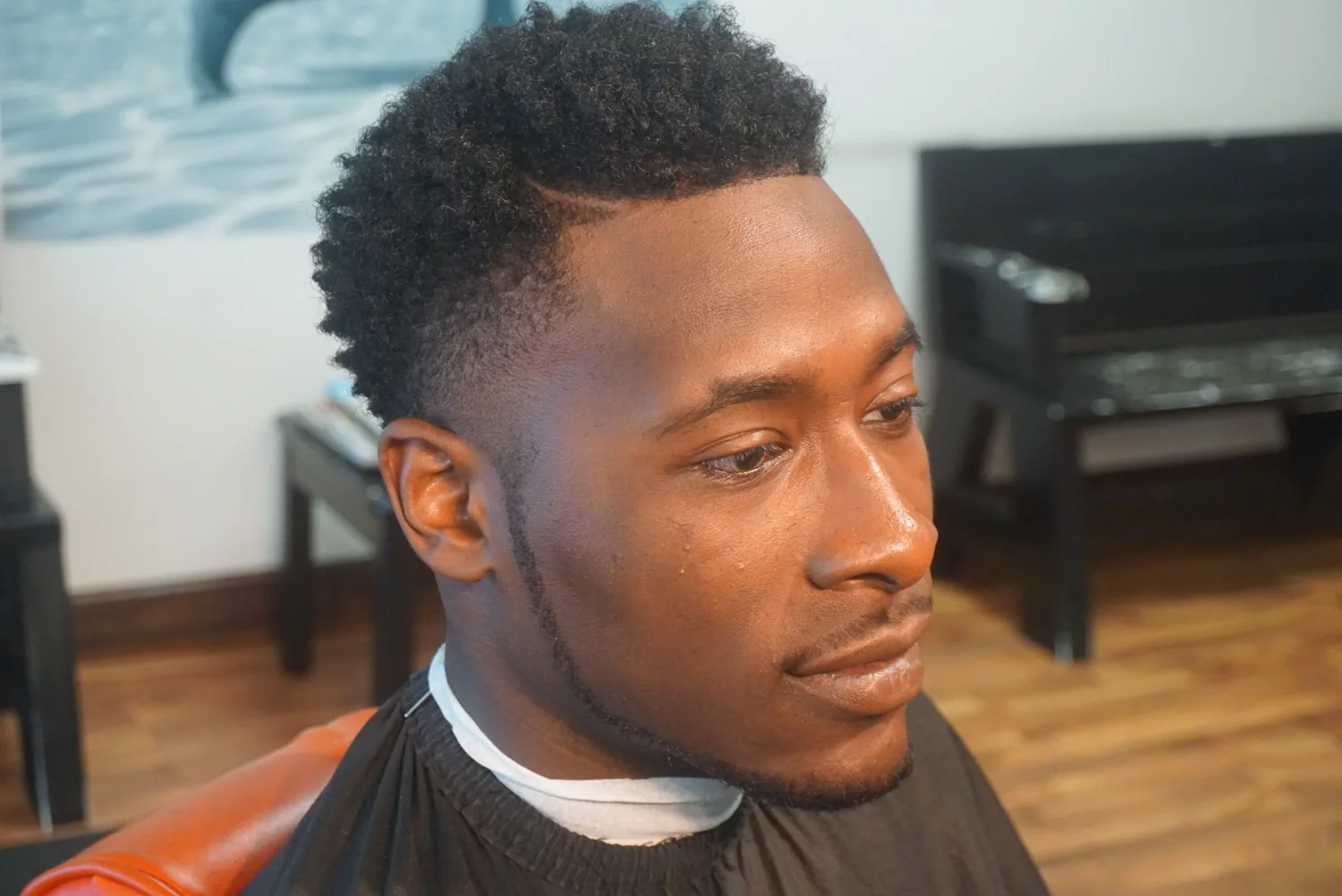 Presidential Cuts