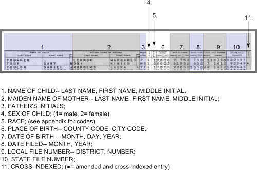 Genealogy 101: Birth Records — Jenna Leigh Tait