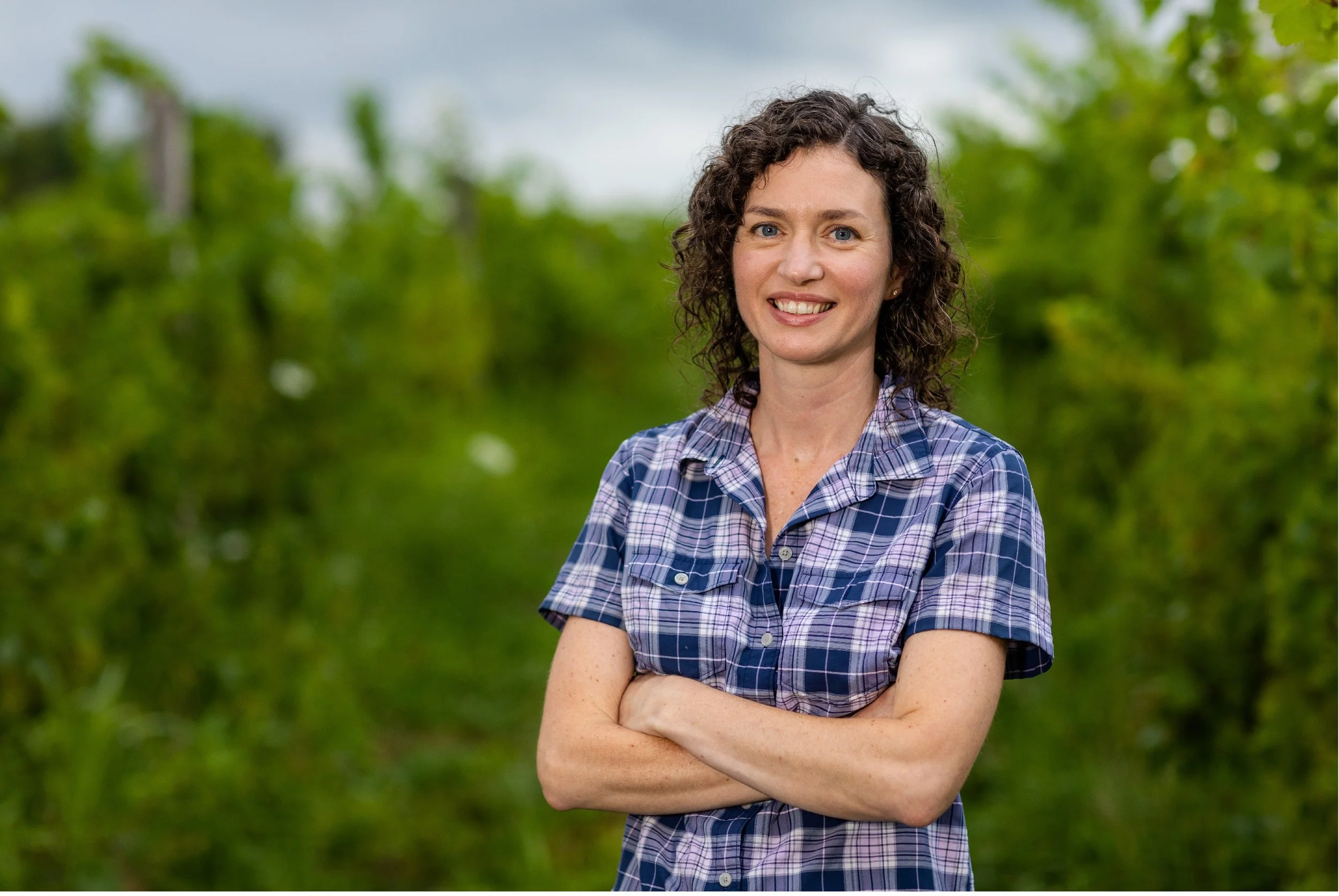 Opportunities and Considerations for Sustainable Wine Tourism — B.E.V ...