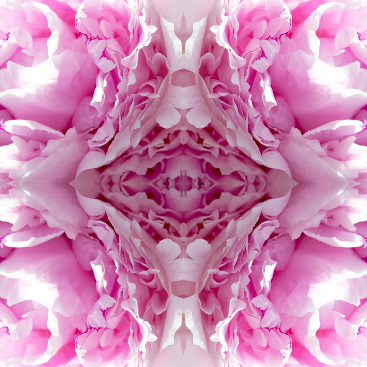 Celebrate Love with Art // Shades of Pink — Romanoff Elements