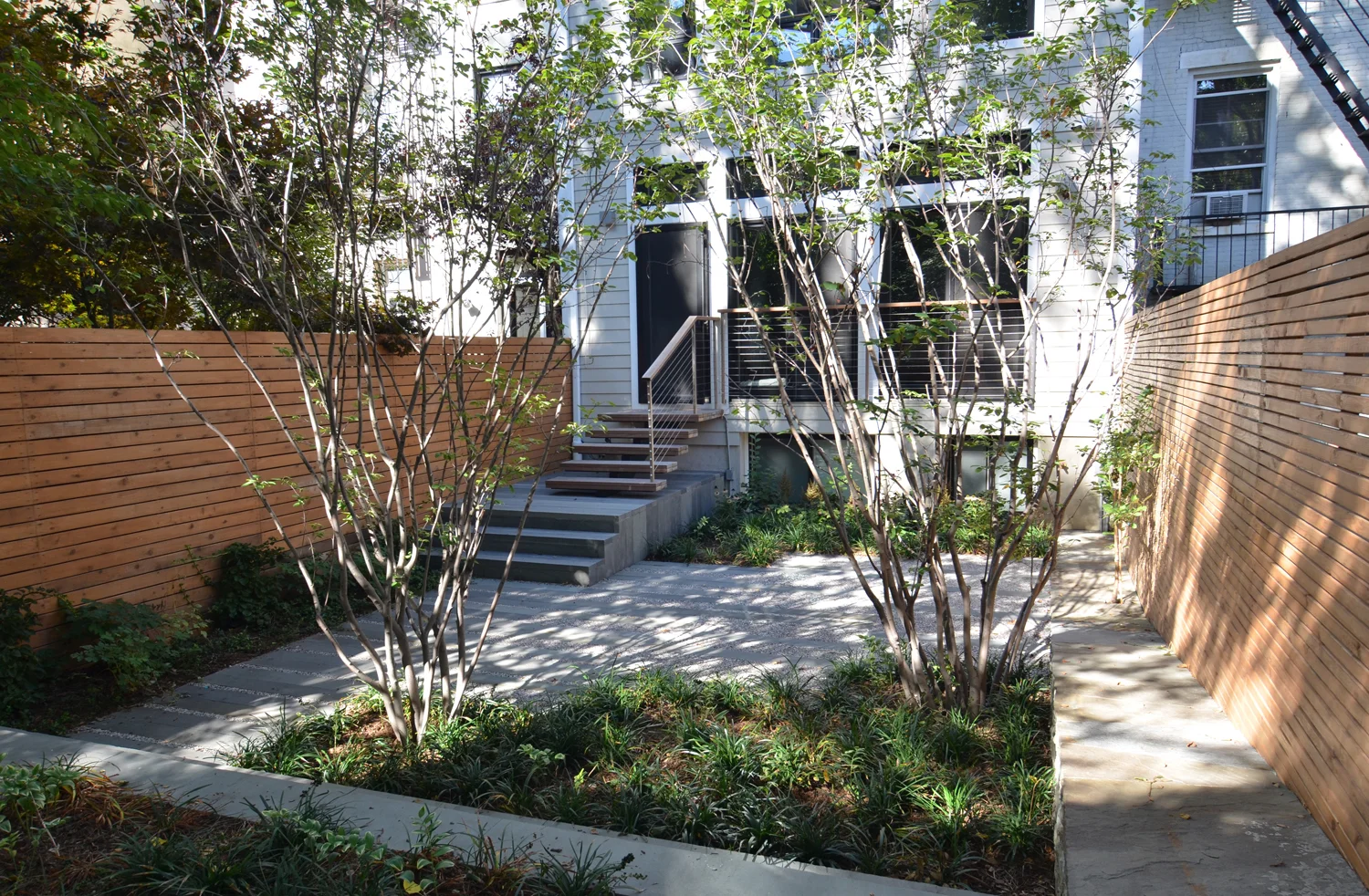 Terrain Work - Urban Sponge Garden