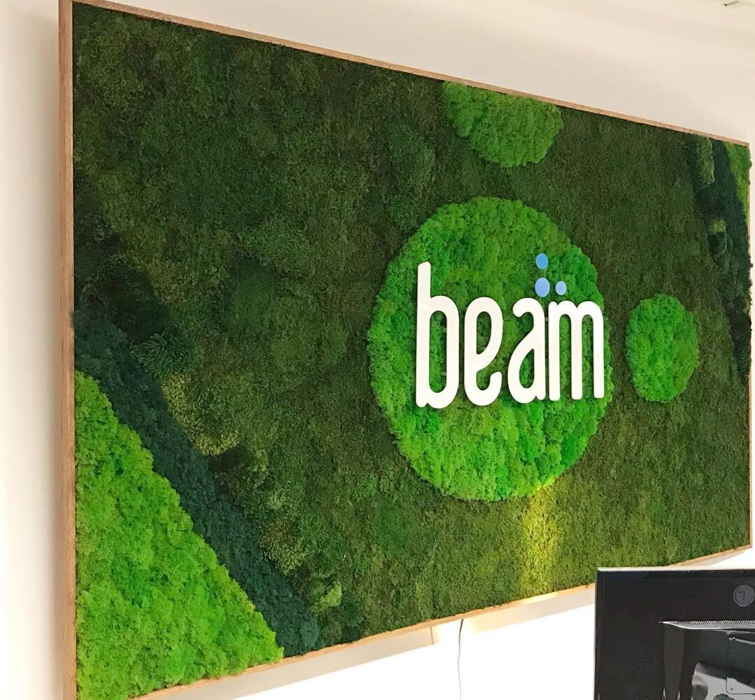 Biophilic Design: A Lifestyle Everyone Should Embrace — PLANTHROPY