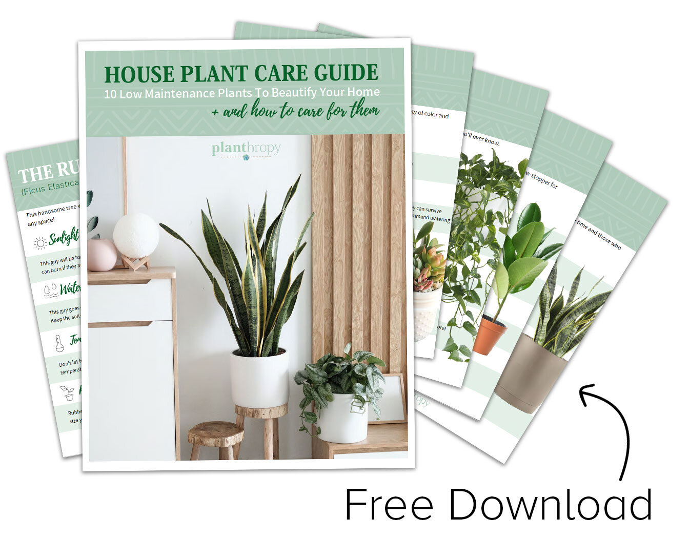 House Plant Care Guide LP — PLANTHROPY