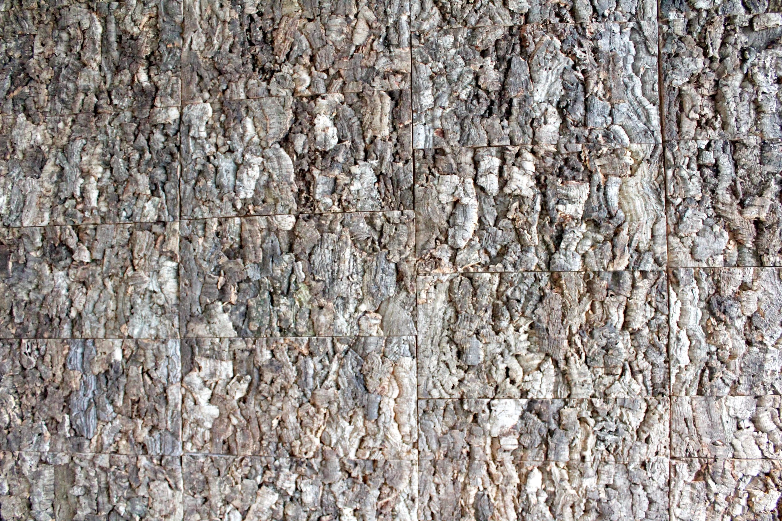 Bark Walls — PLANTHROPY