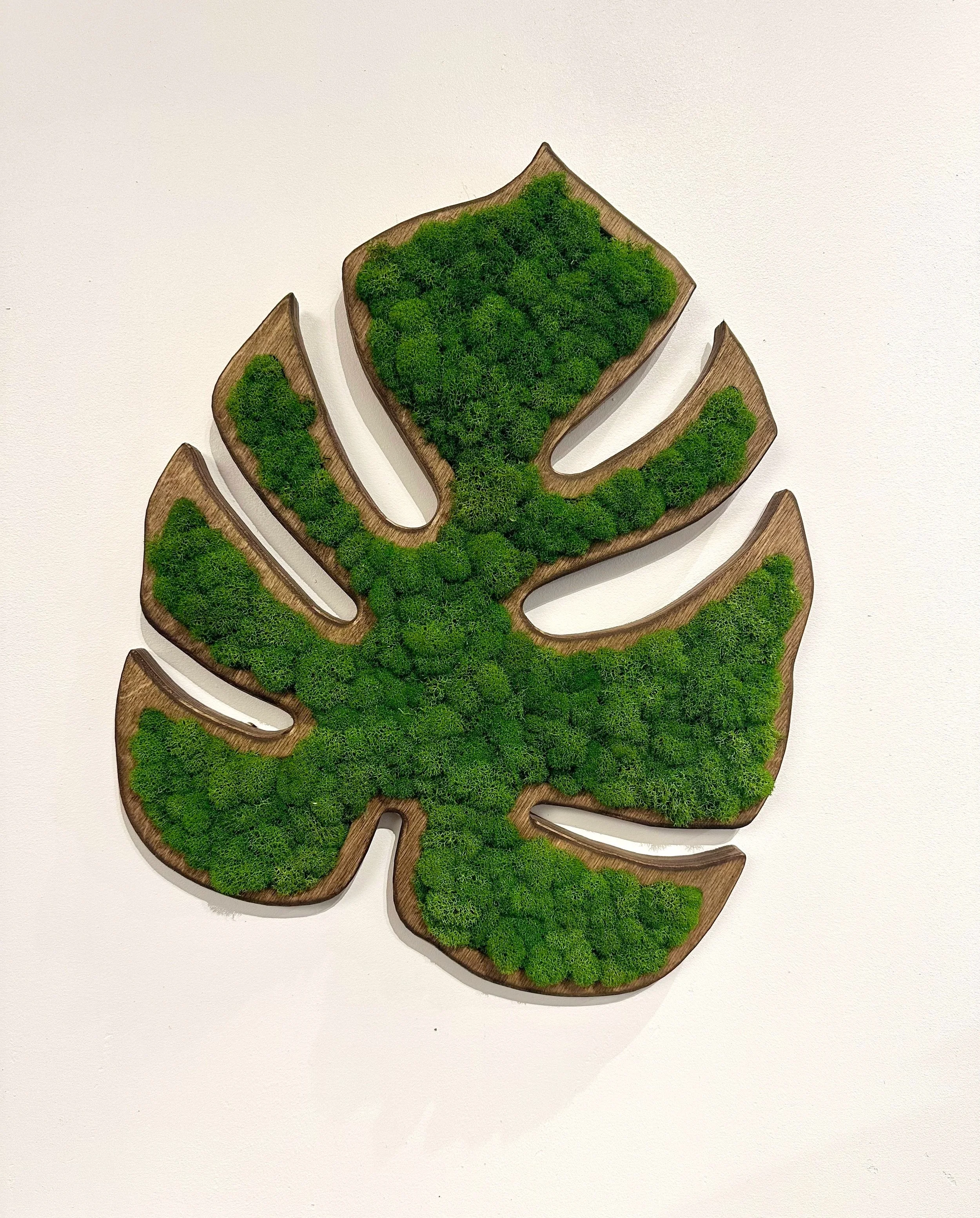 Moss Monstera Leaf — PLANTHROPY
