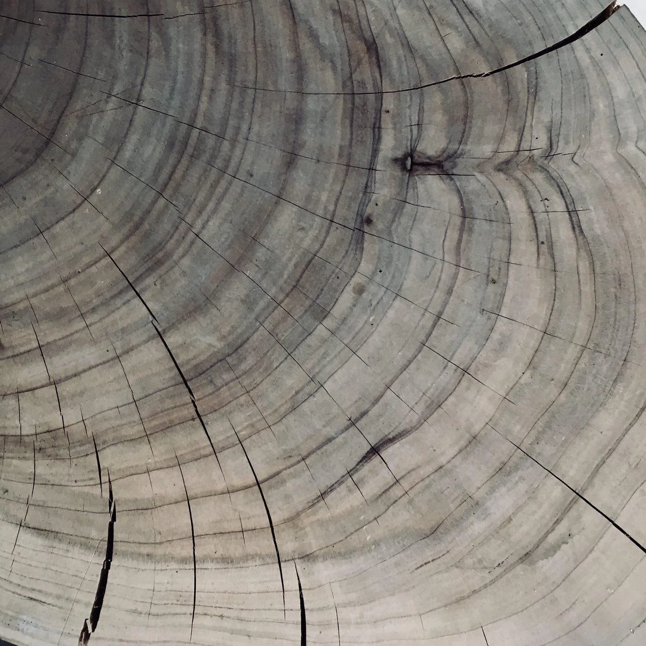 Interiors, Custom made Arts