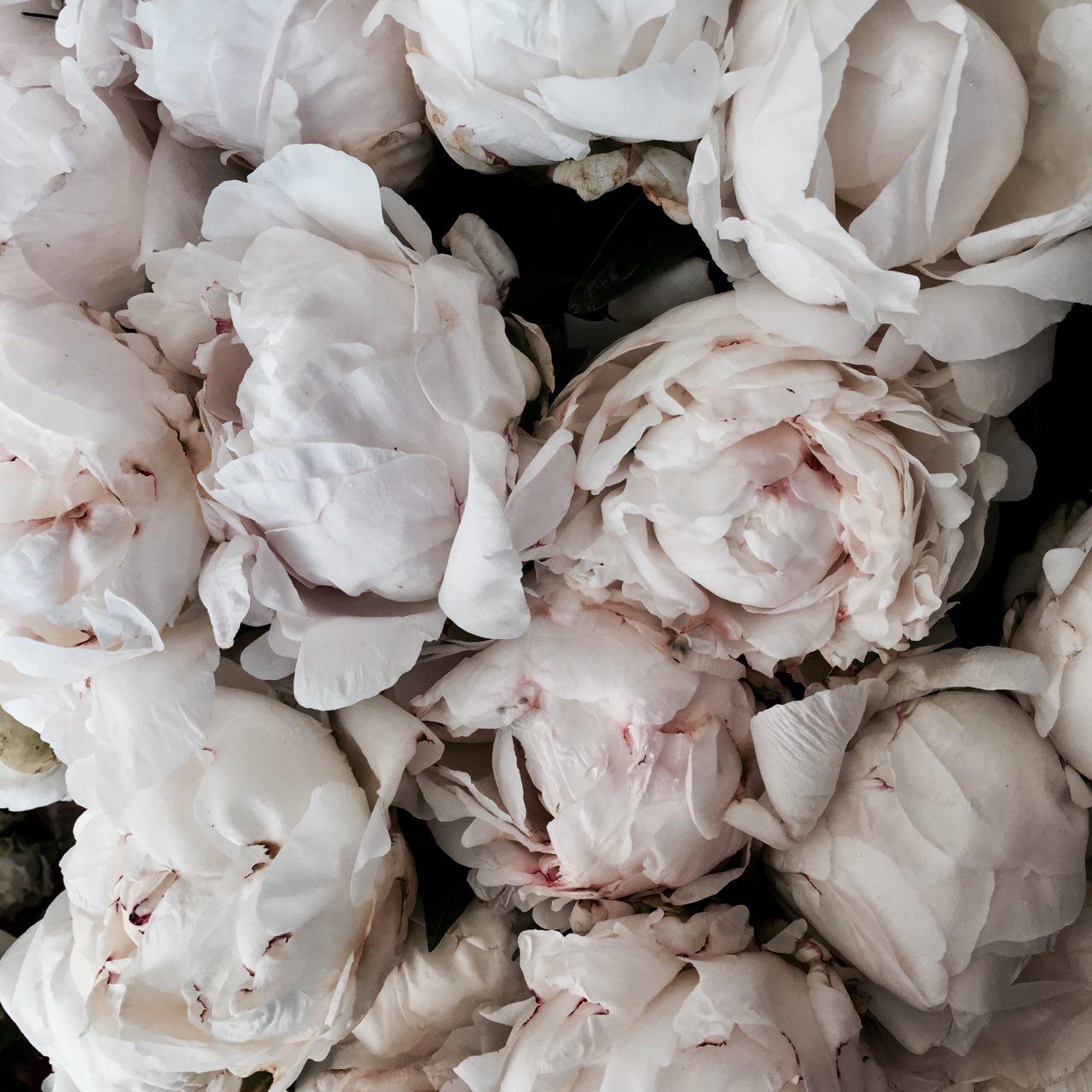 Interiors, Custom made Arts