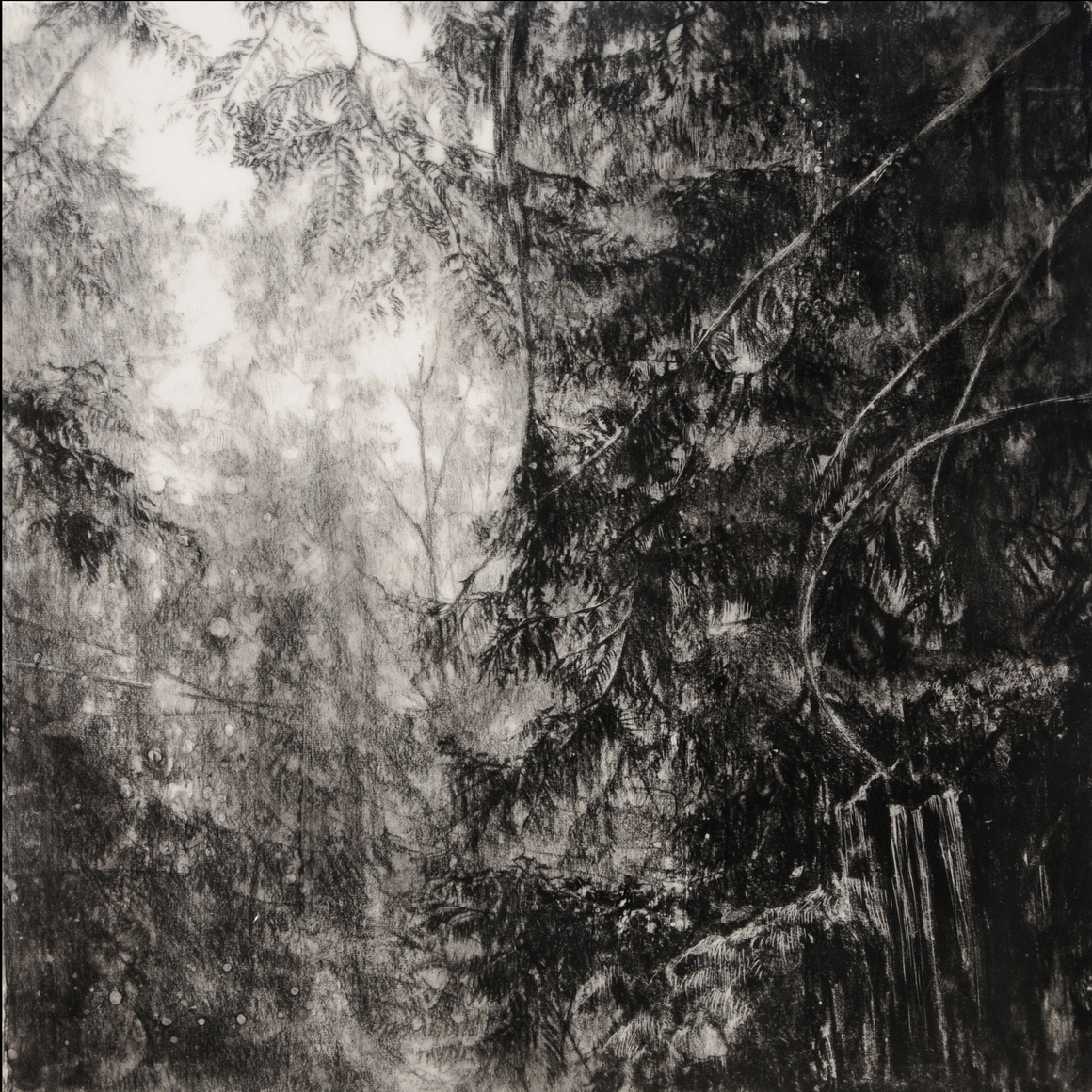 Portfolio: Paintings and Drawings | Nature, Wildlife, Portraiture ...