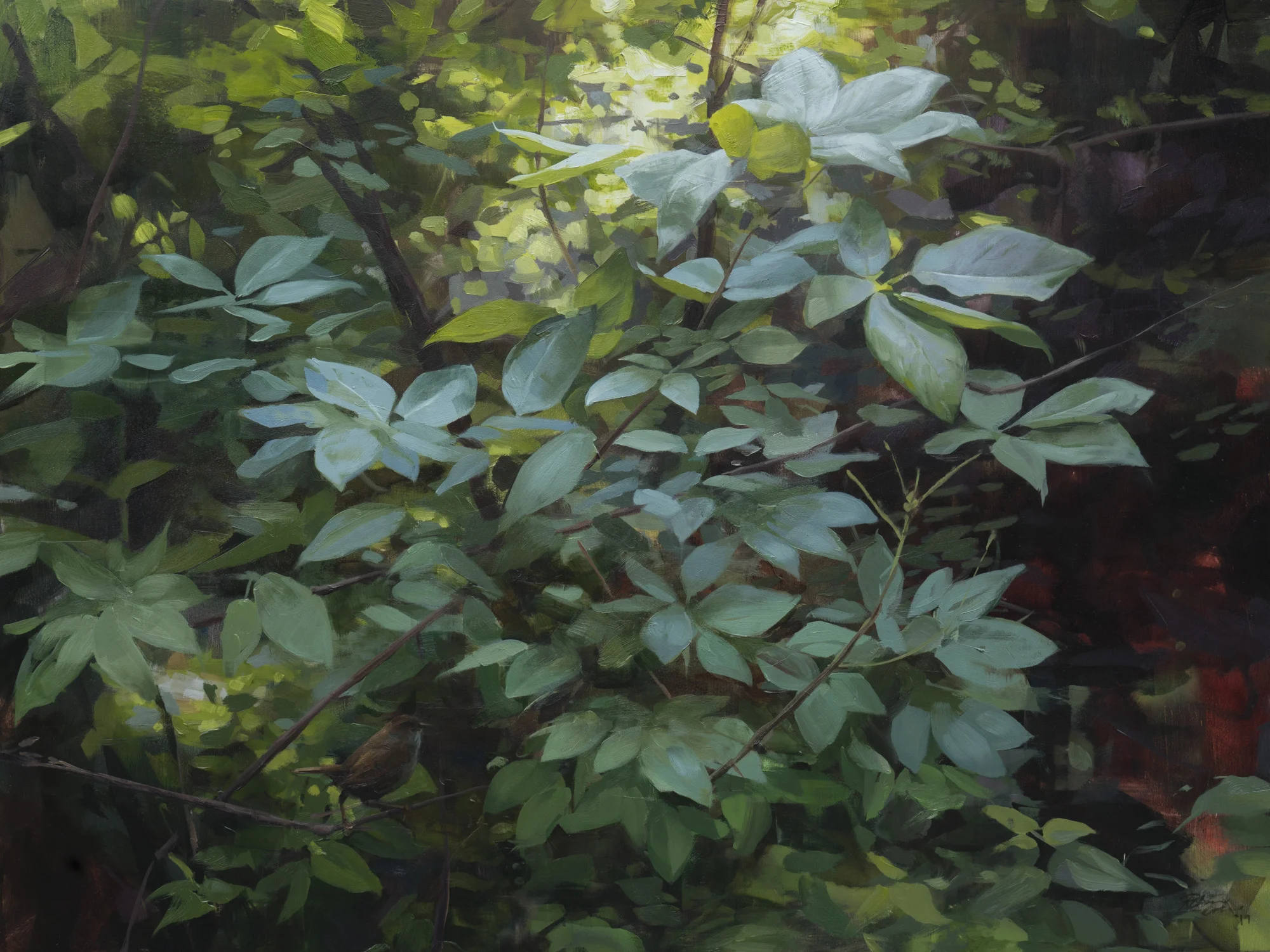 Robin Cole | Fine Artist | Drawing & Painting Instructor | Denver, CO